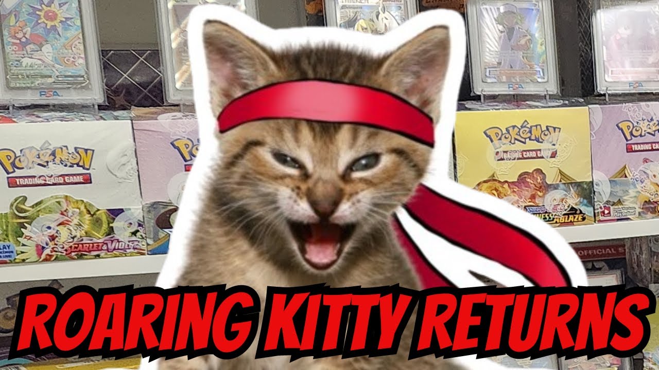 Pokemon INVESTING Lessons From ROARING KITTY!?!? - YouTube