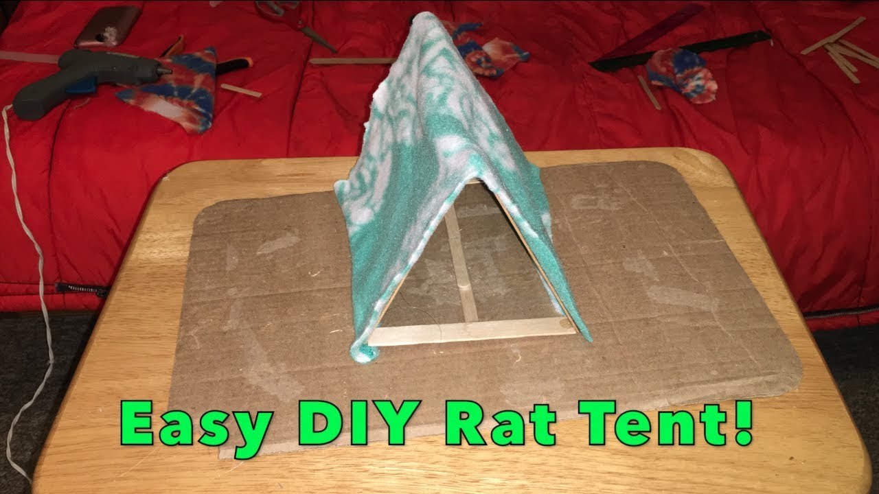 Easy DIY Rat Tent! - YouTube