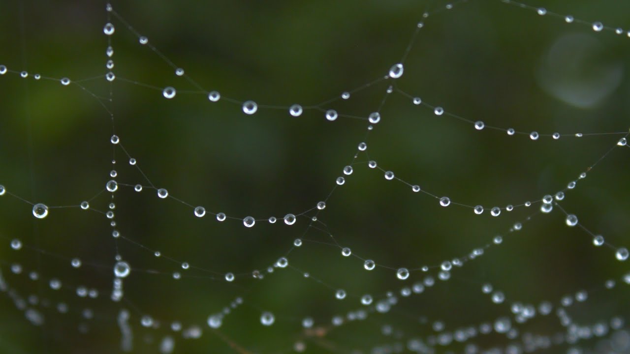 Web | Canon 550d Magic lantern RAW 4K upscale | Arri colors - YouTube