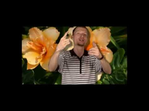 Поздравляю с 8 марта, конфетка!!!