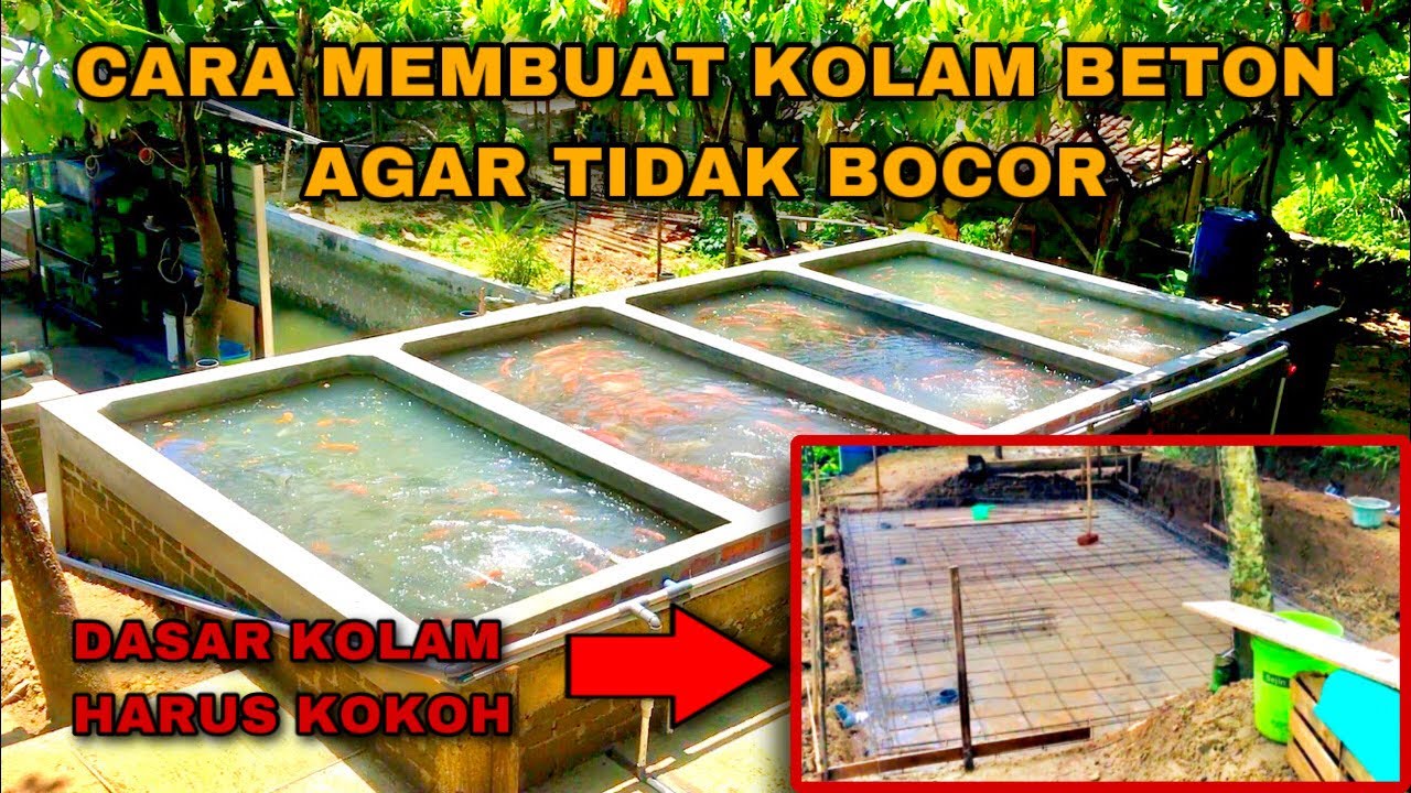 CARA MEMBUAT KOLAM BETON AGAR TIDAK BOCOR - KOLAM BETON SISTEM RAS ...
