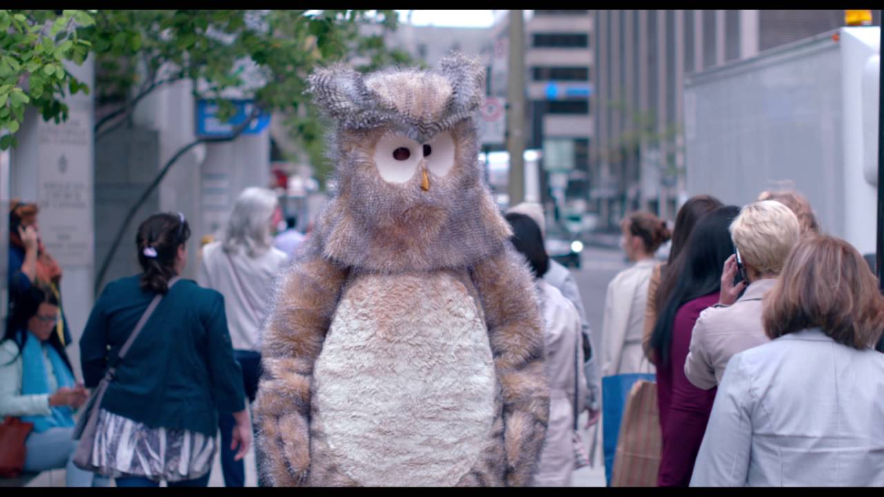 Owl You Need Is Love / Hibou (2016) - Trailer (English Subs) - YouTube