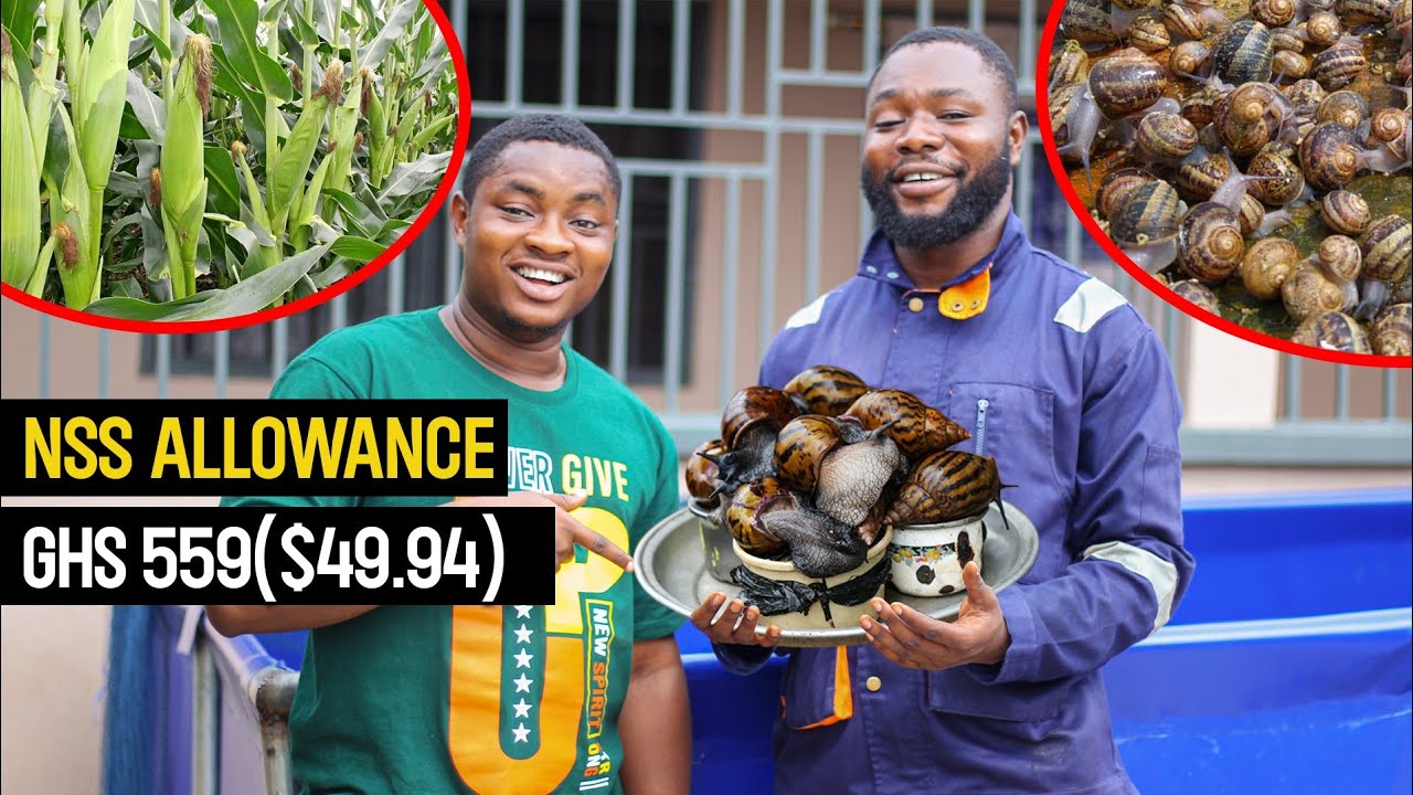 Meet the Agribusiness Graduate Who Started His Snail, Catfish and Maize ...