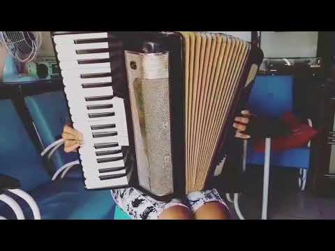 HOHNER Lucia iii 96 Bass Acordeon - YouTube