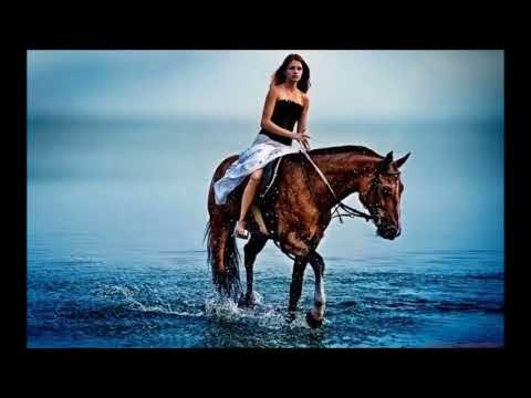 Gidin artık  ٠•●♥Melek ♥●•٠·