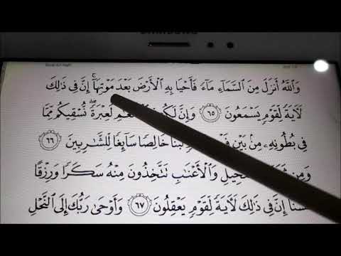 Belajar Membaca Al-Quran Surah An-Nahl Mukasurat 273 & 274