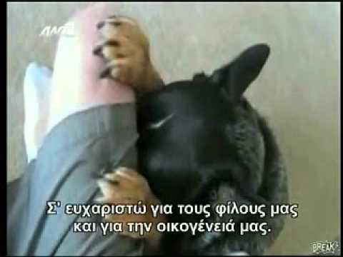ΤΟ ΣΚΥΛΙ ΤΟΥ ΑΝΘΙΜΟΥ. - YouTube