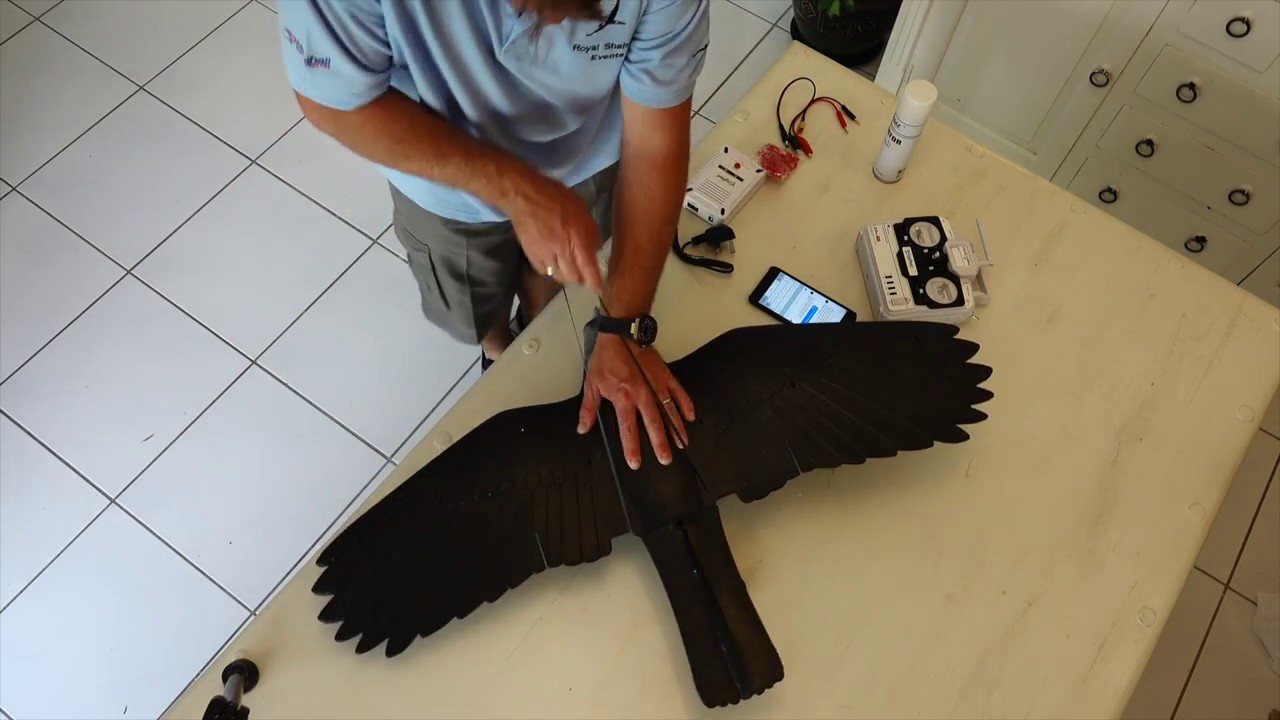 Rocrow Review - YouTube