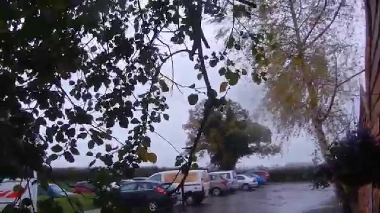 Go Visit Buzzard Valley Winery 2015 - YouTube