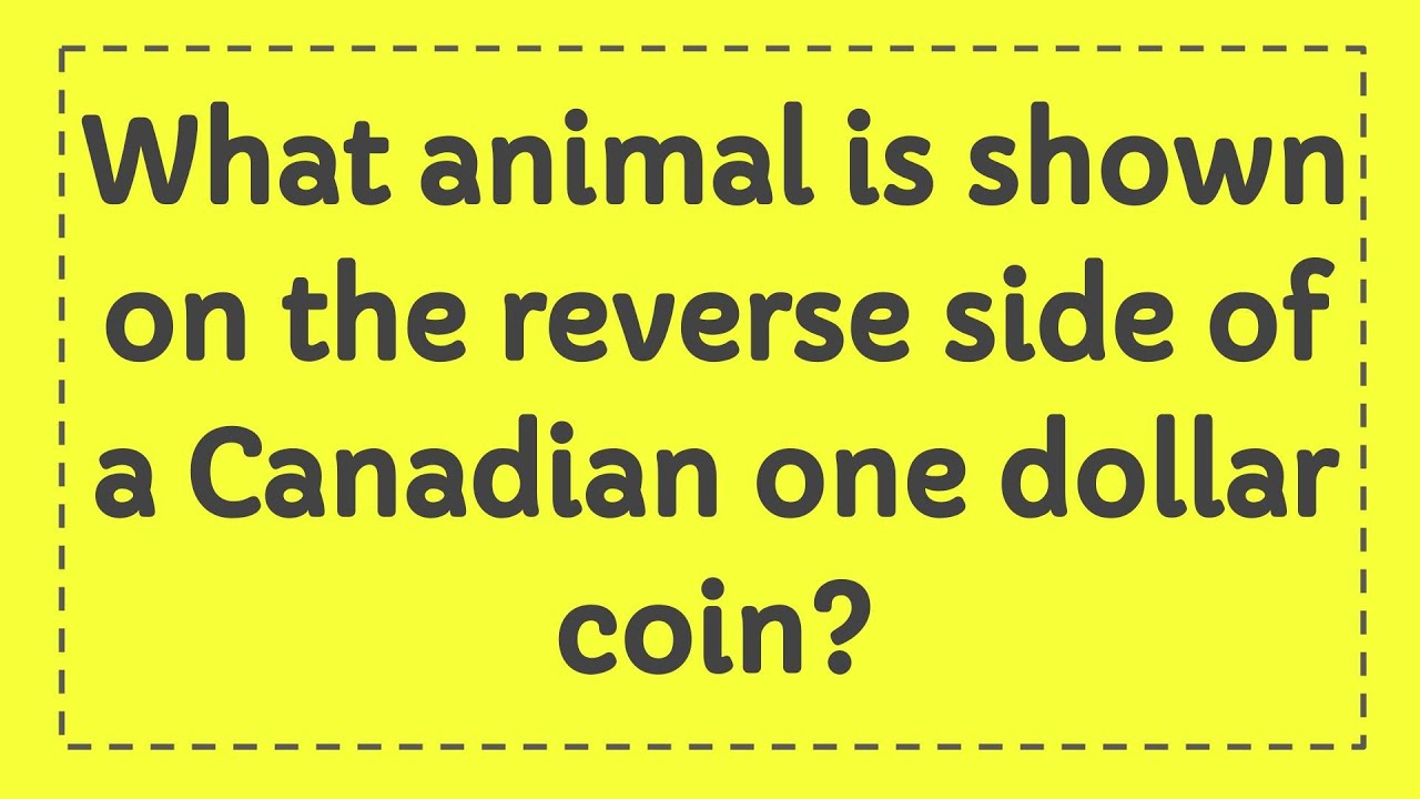 What animal is shown on the reverse side of a Canadian one dollar coin ...