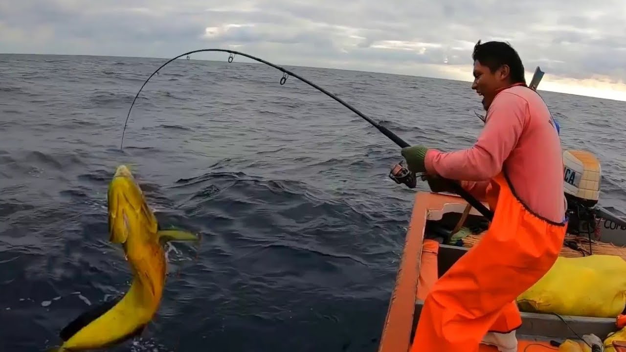 Mira las Increíbles pescas con caña en Alta Mar - YouTube