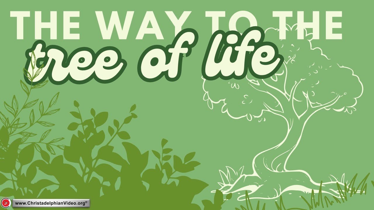 The way to The Tree of Life Bible Study - YouTube