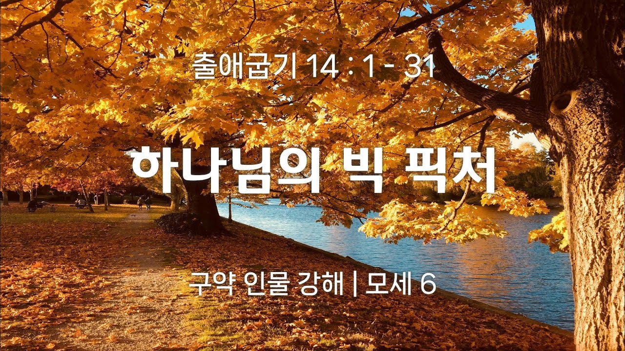 출14 1 31 모세6 하나님의 빅 픽처 2024 10 13 Youtube