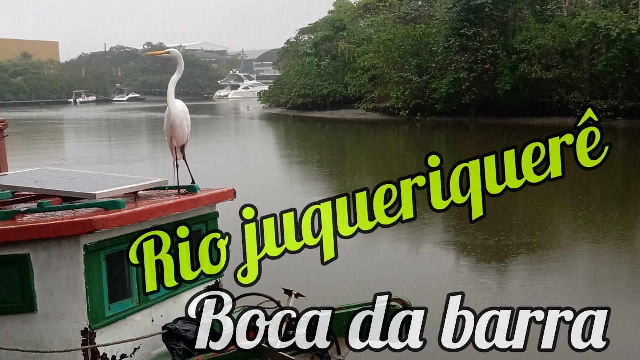 MUITA GAROA! USEI CAMARÃO VIVO E ISCA ARTIFICIAL.PESCA DE ROBALO . BOCA ...