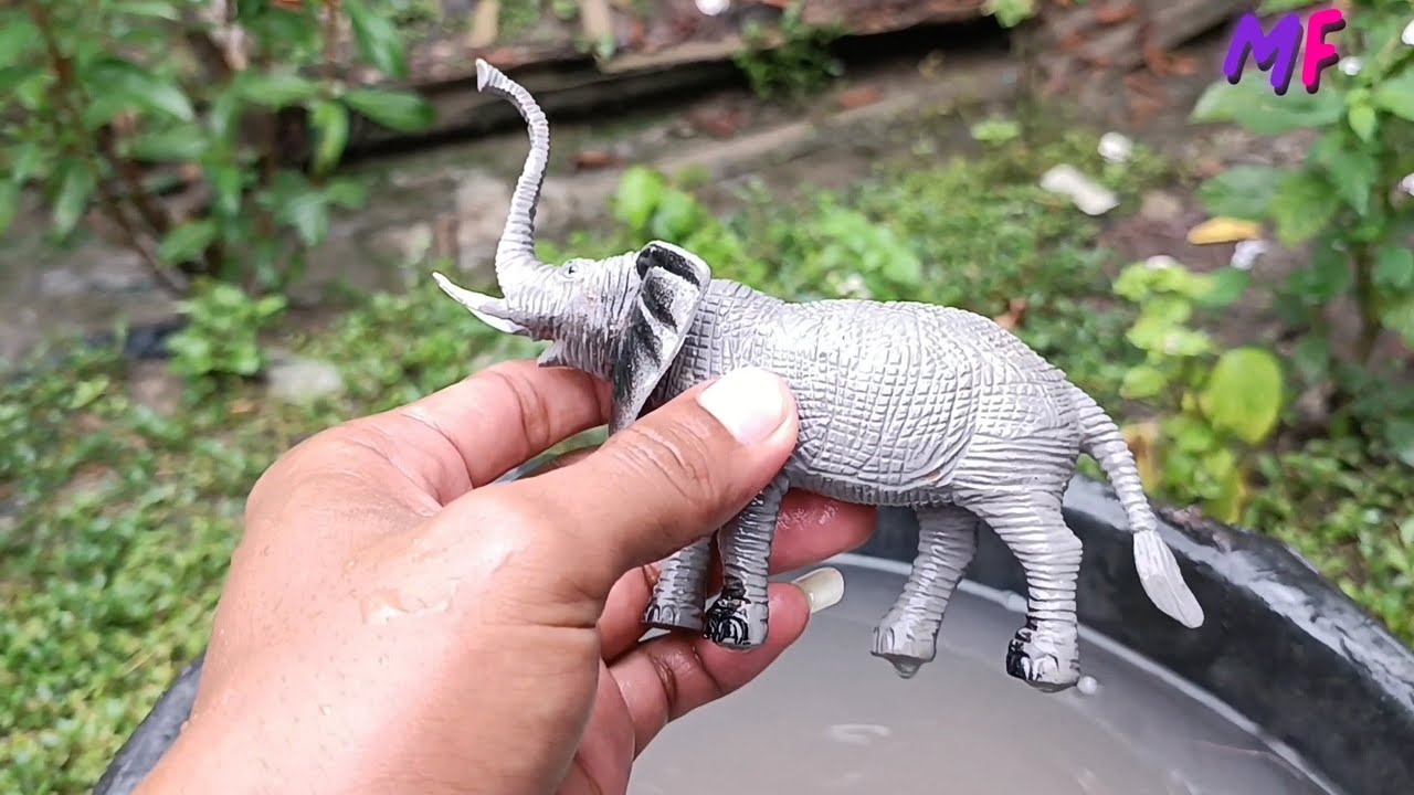 membersihkan mainan berlumpur, mainan singa, zebra, jerapah, gajah ...