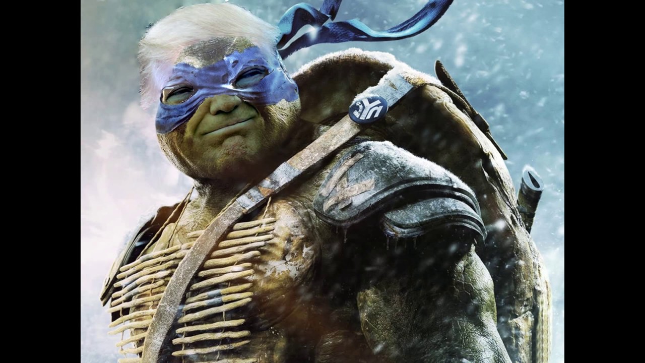 IS TRUMP A TURTLE?!?!?!? - YouTube
