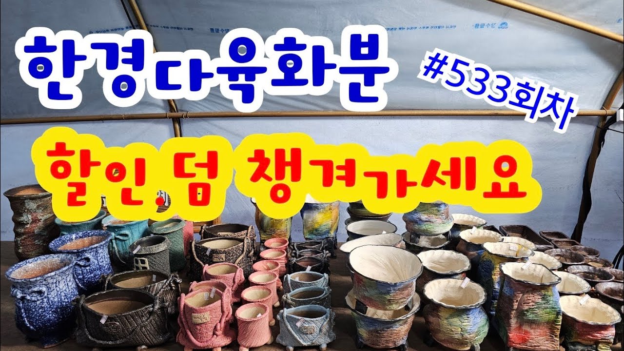 2024년 6월 1일533회차 저녁 영상 한경다육화분 수제공방분 공방분 다육화분 화분 다육이 다육식물 한경화분