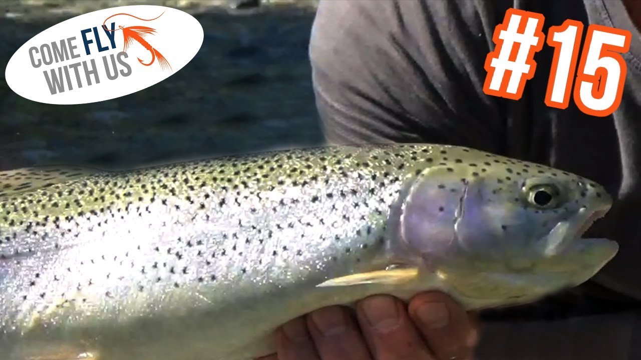 Fliegenfischen am Bach | hechtundbarsch.de - YouTube