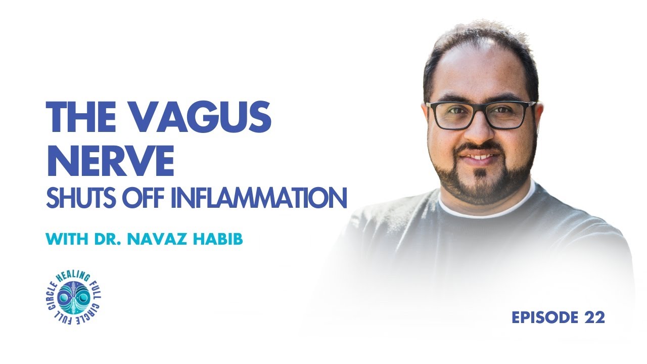 22: The Vagus Nerve Shuts OFF Inflammation with Dr. Navaz Habib - YouTube