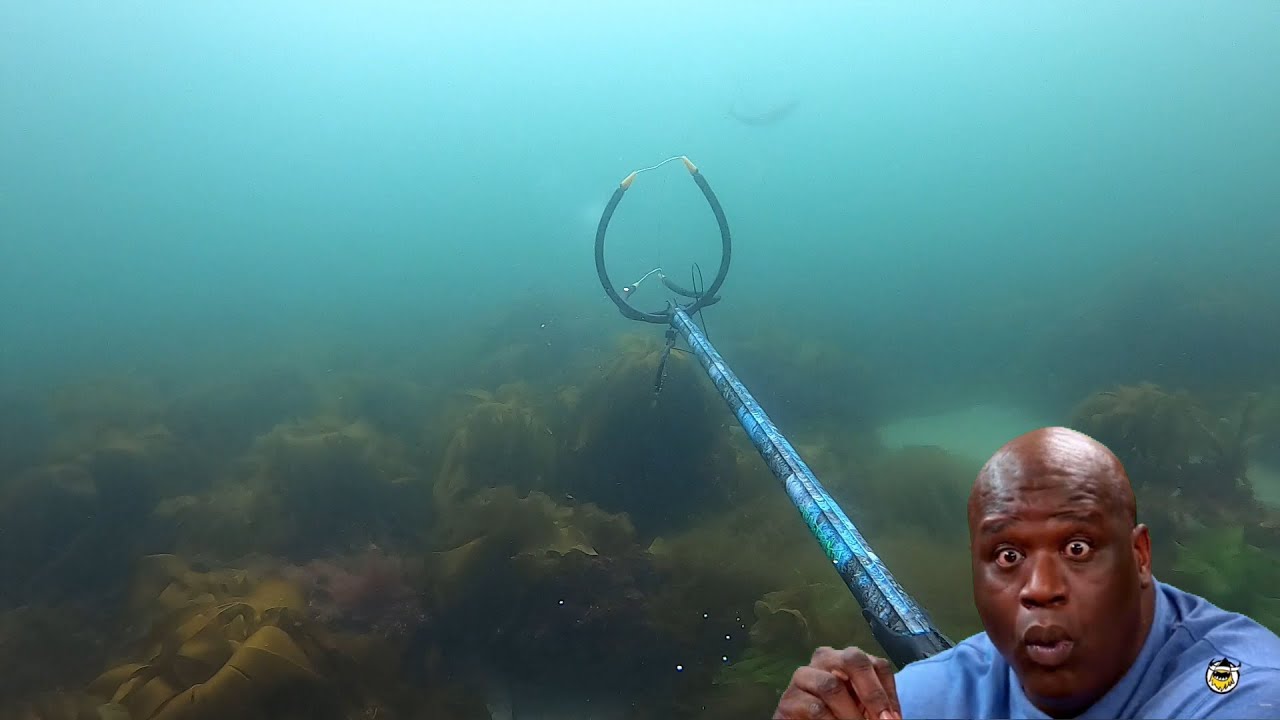 Diving in south of Norway had me like - YouTube