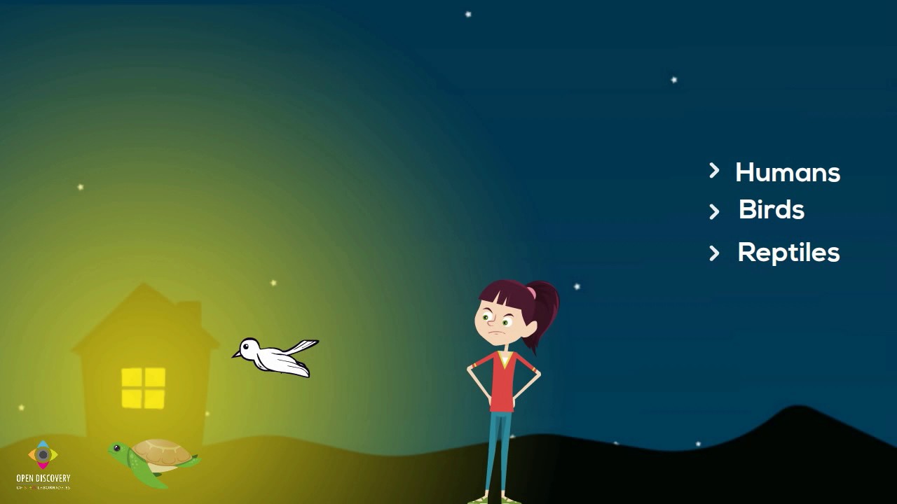 Light Pollution Cartoons Late, Animated, Street Light, Cartoon, Night,