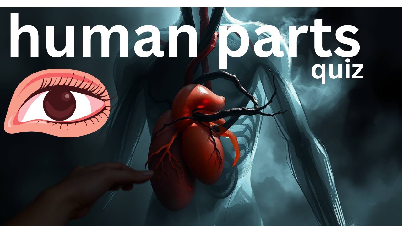 Human Body Organ Quiz is a fun and educational activity that tests ...