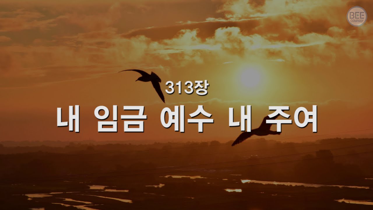 313 YouTube 313-youtube