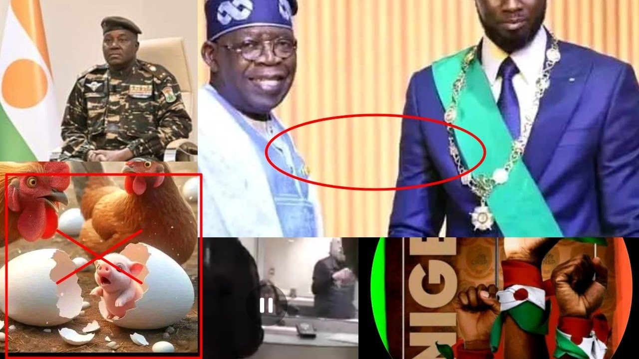 Sabrina LABARI NIGER DA France - YouTube