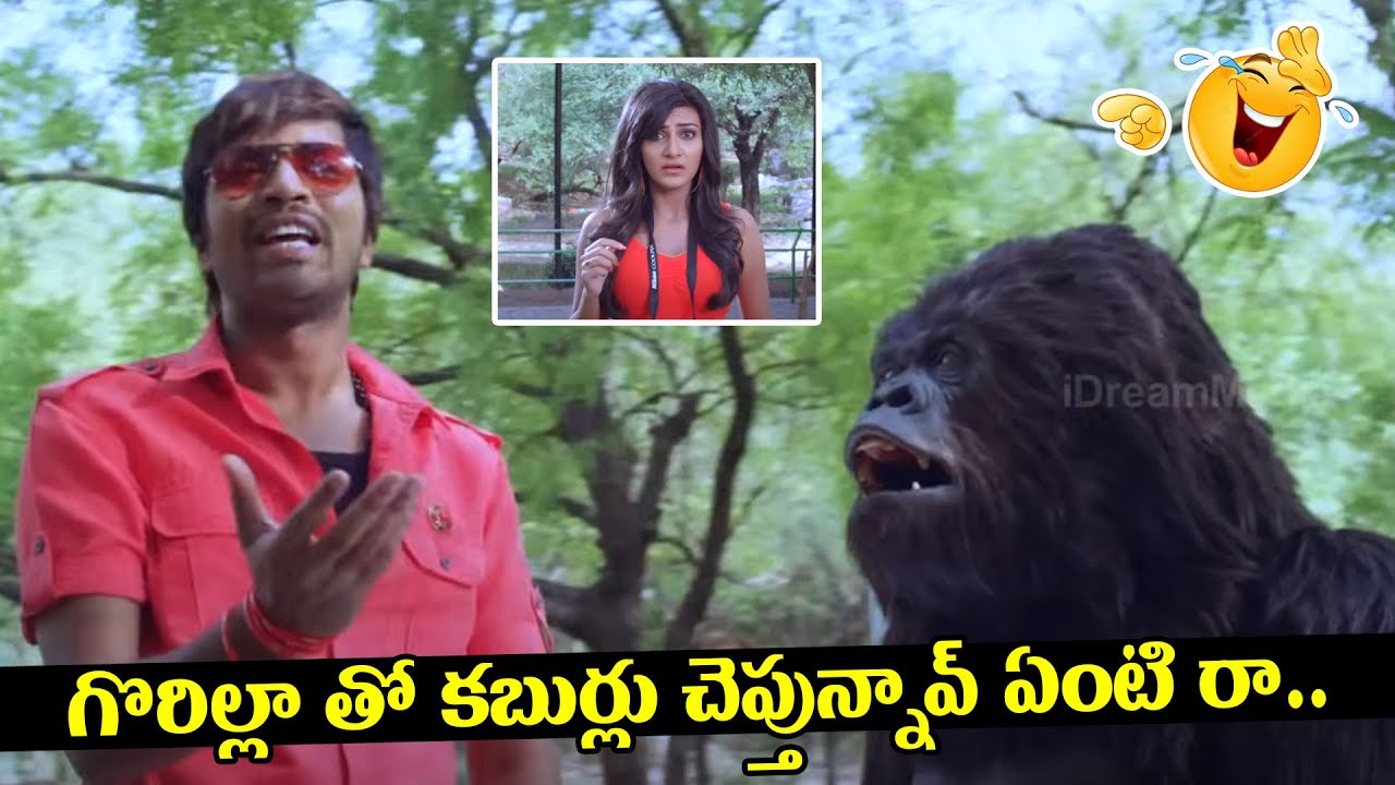 గొరిల్లా తో కబుర్లు చెప్తున్నావ్ ఏంటి రా.. | Allari Naresh Best Comedy ...