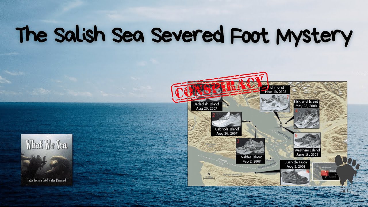 Severed Feet of the Salish Sea - YouTube