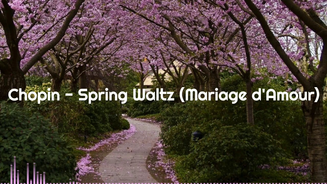 Chopin - Spring Waltz ( Mariage d'Amour ) - YouTube