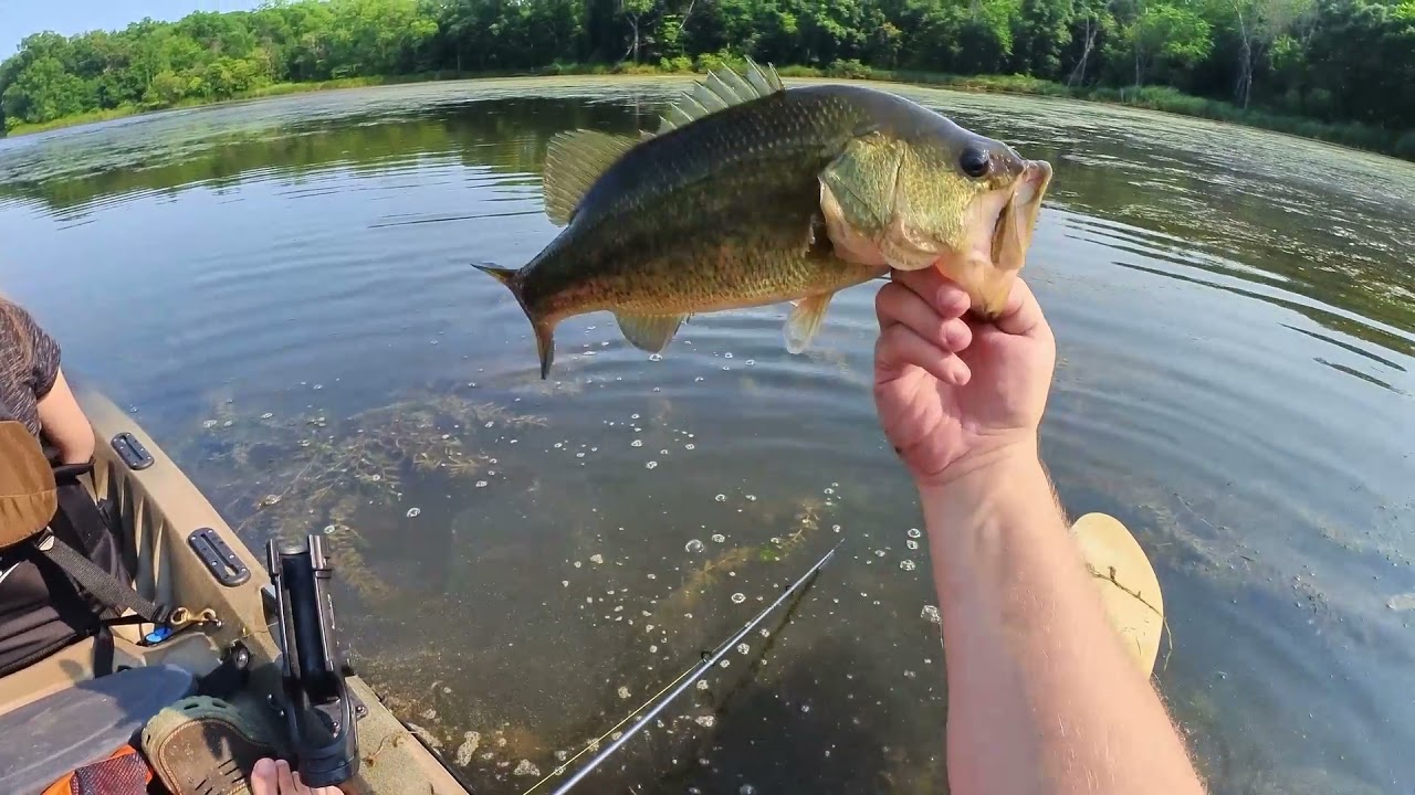 Summer Bass Kayak Fishing - Busse Lake Illinois - YouTube