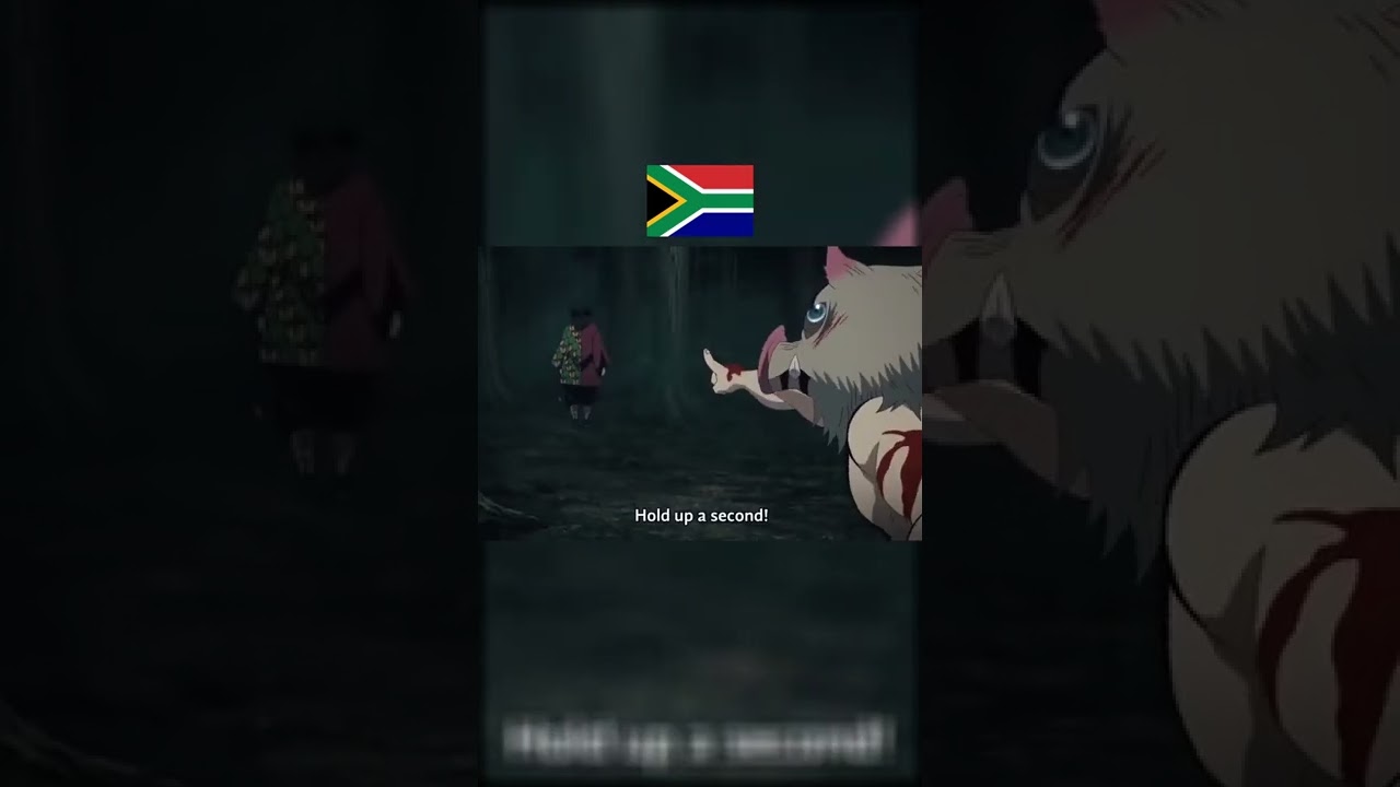 Demon Slayer South Africa part 2 - YouTube