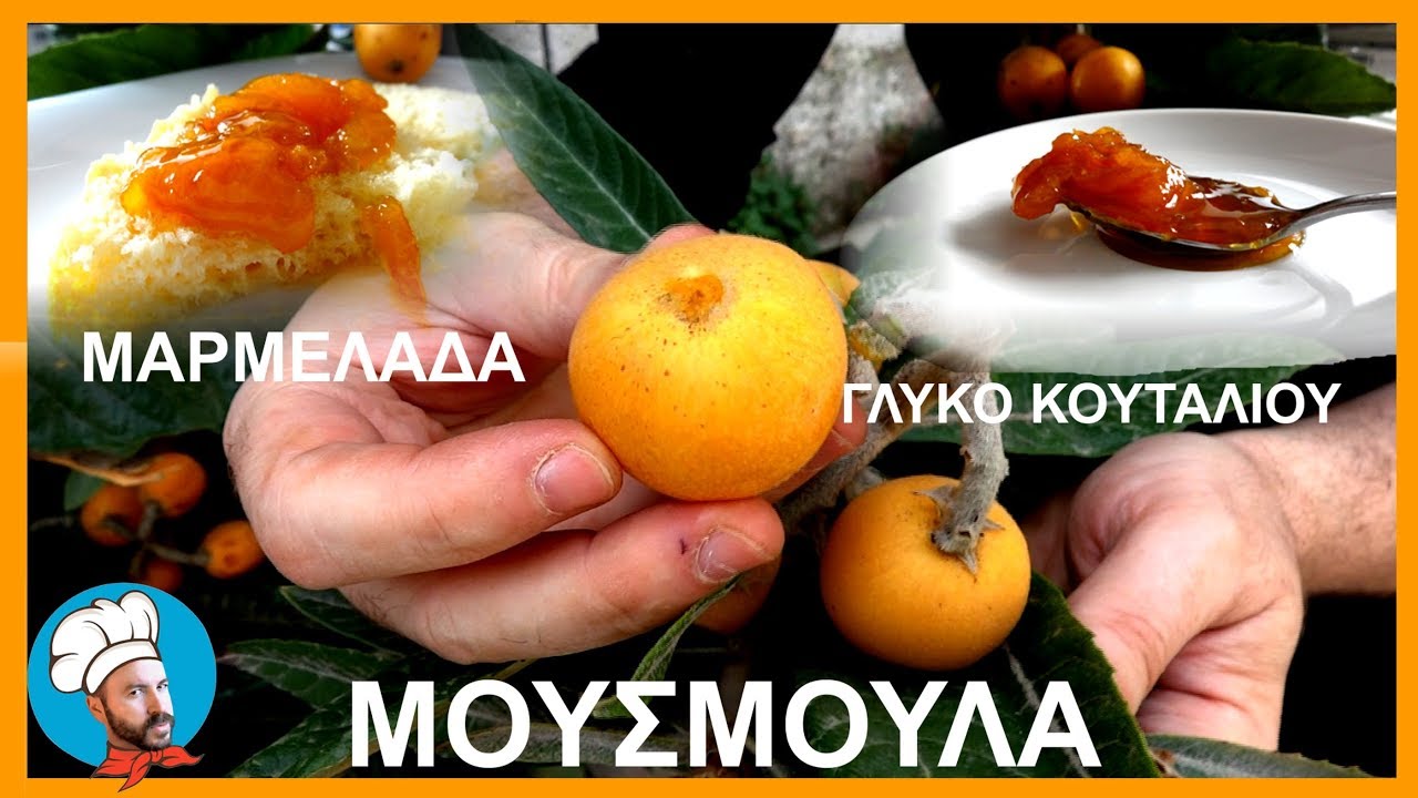 ΜΟΥΣΜΟΥΛΑ: Όλες οι αλήθειες!!! - YouTube