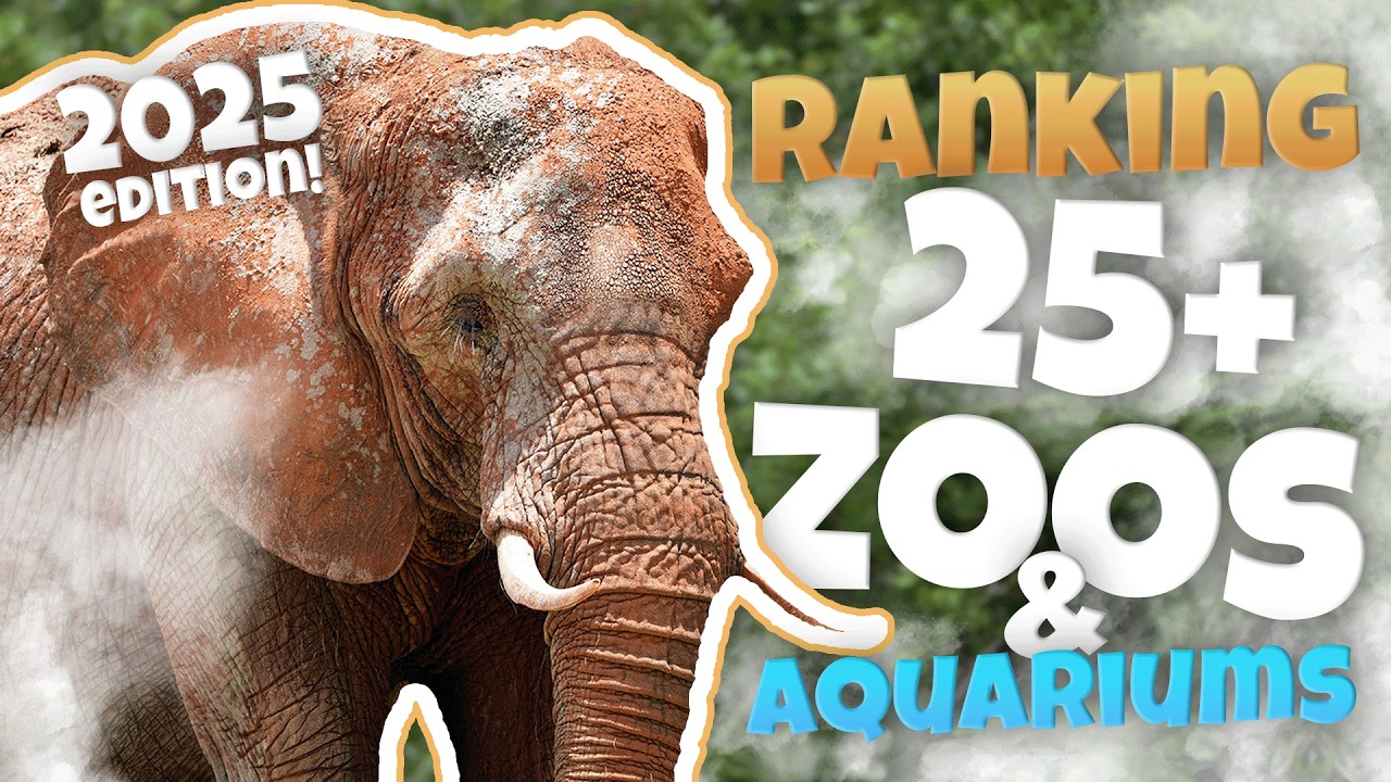 🐘 Ranking ALL 27 Zoos I've Been To This Year! - YouTube