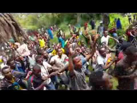 Sirna Gadaa Odaa Roobaa Baalee Gindhiir - YouTube