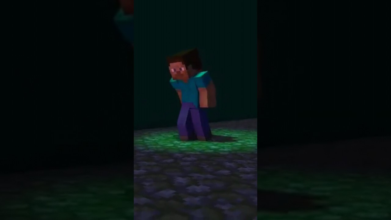 Steve is sad so please subscribe to get him to 1000 Subscribers # ...