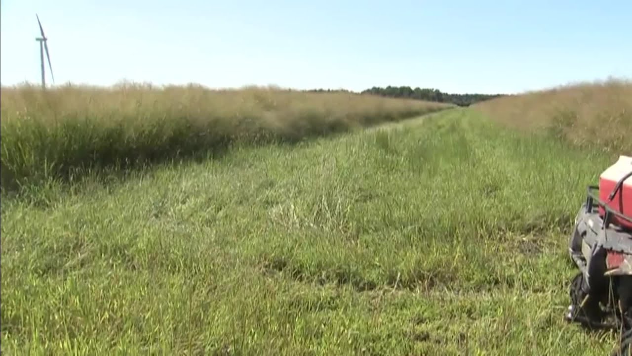 Witness describes Duke Life Flight crash - YouTube