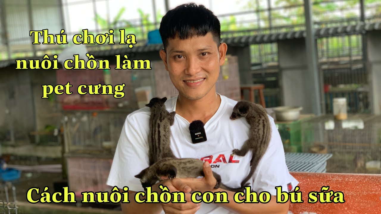 Thú Chơi Lạ Nuôi Chồn Con Cho Bú Sữa Làm Thú Cưng|Kỹ Thuật Xây Dựng ...