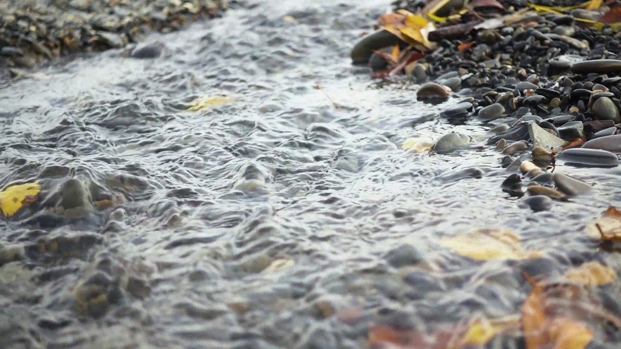 arrollo Burbujeante sonidos de la naturaleza para relajarse - YouTube