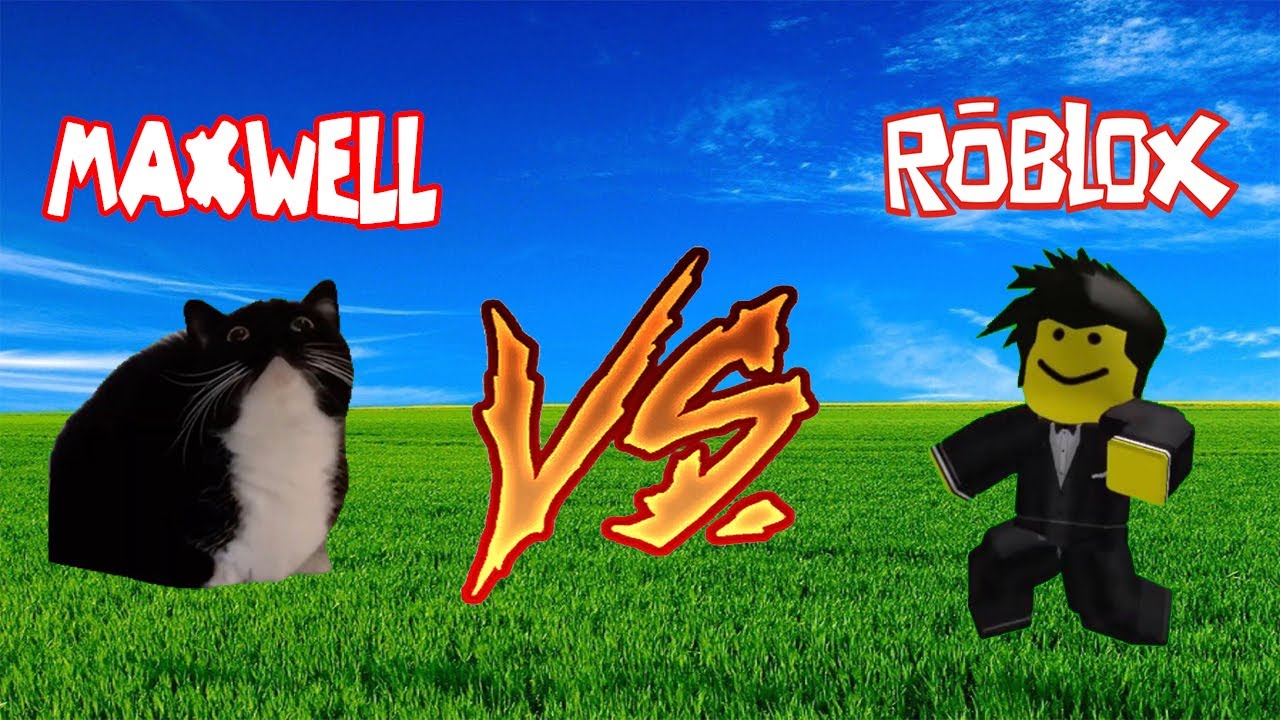 Maxwell cat vs Roblox 🐱 - YouTube