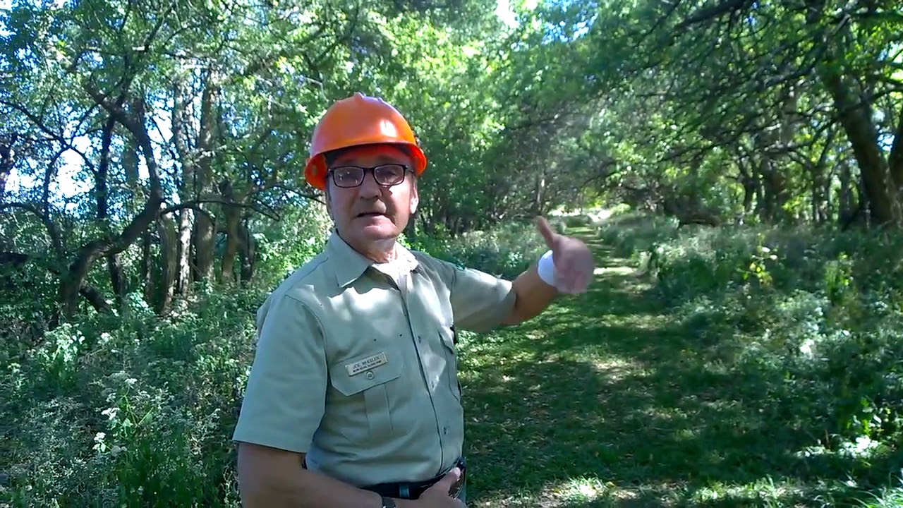 Hedge Row, Living Fence, Midewin National Tallgrass Prairie - YouTube