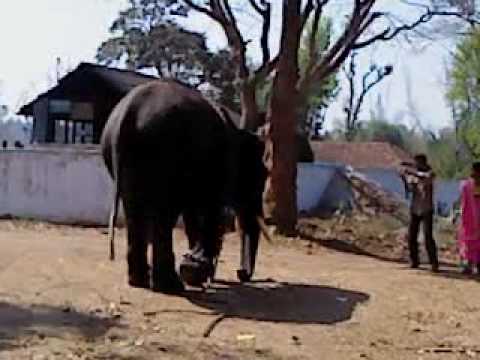 Coorg Tour - Movie ;-) 16.MP4 - YouTube