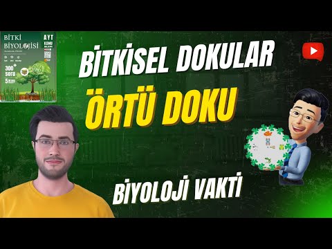 Örtü Doku | Bitkisel Dokular | ➕PDF | AYT Biyoloji Kampı | #yks2025