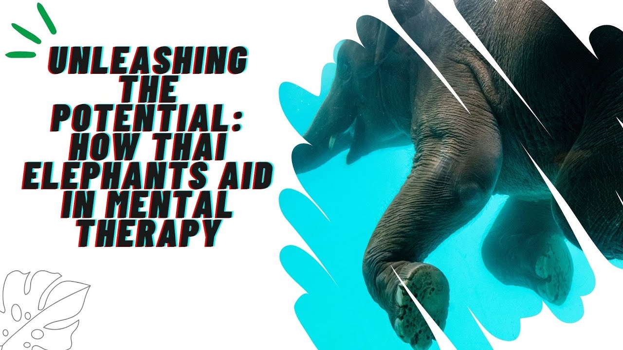 Unleashing the Potential How #thaielephant Aid in Mental Therapy # ...