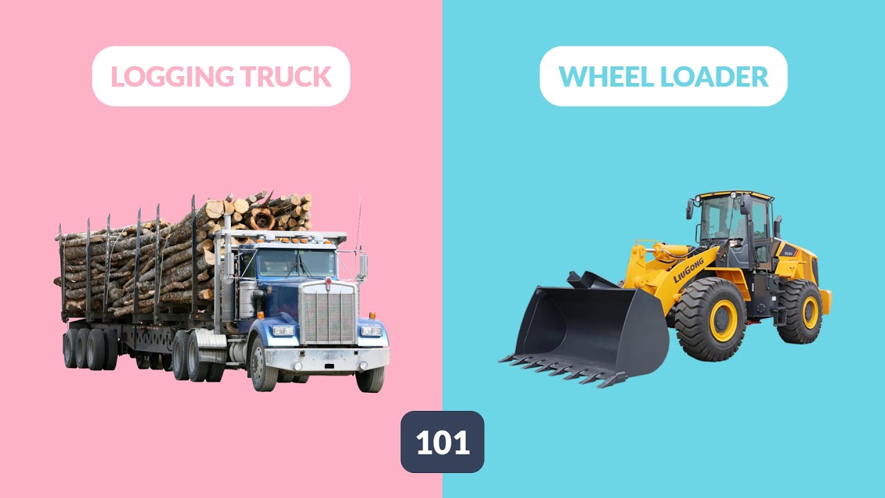 Let's Learn About Heavy Machinery! Logging Truck, Wheel Loader, Bucket ...