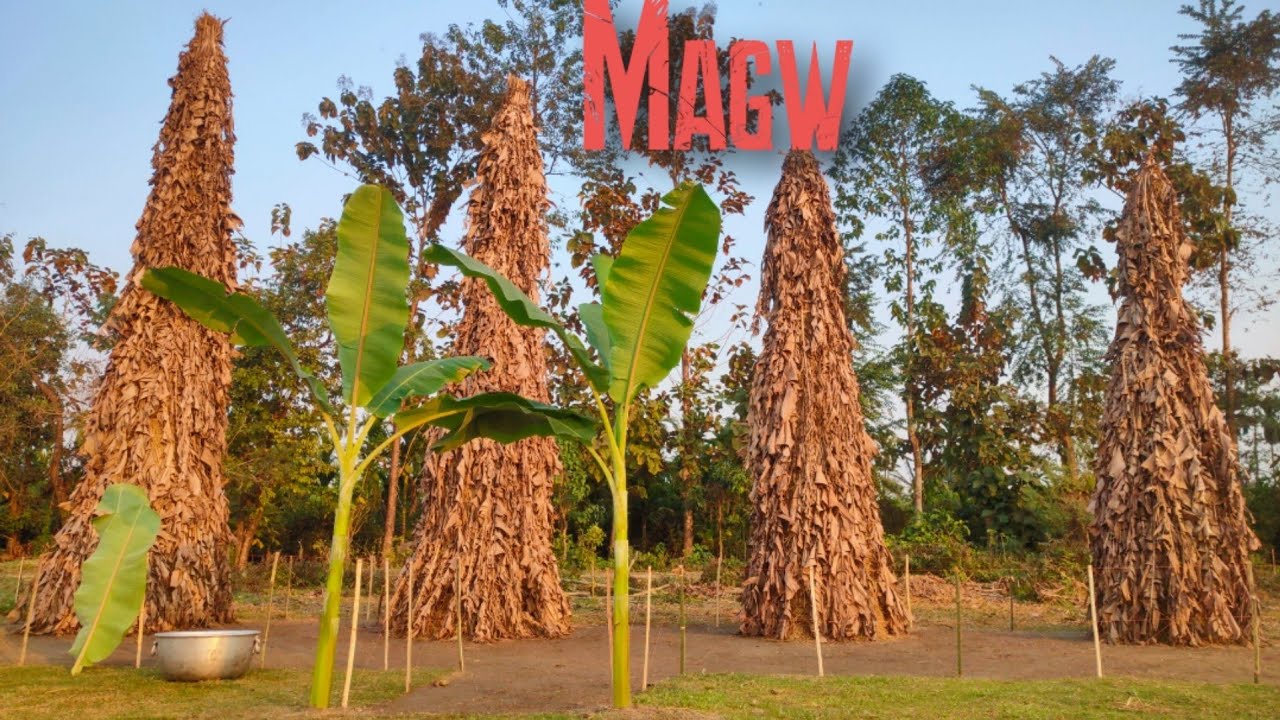 Magw Festival II Belagur 🔥 II Bodo Traditional Culture II Bodoland ...