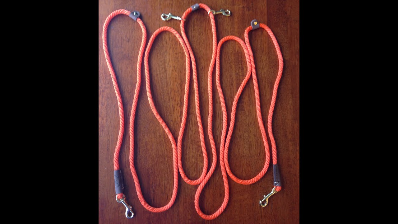 Symmetry Line All in One Dog Leash: the Swiss Army Knife of Leashes ...
