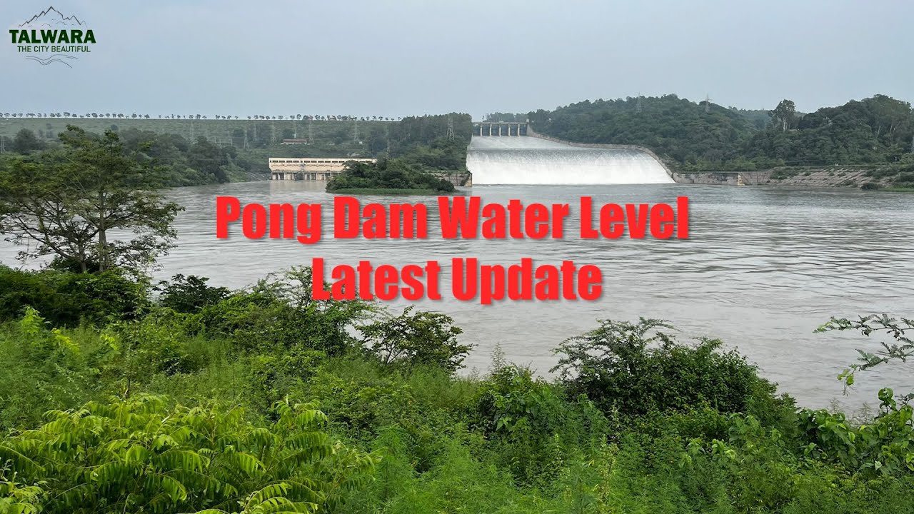 PONG DAM WATER LEVEL LATEST UPDATES | Talwara The City Beautiful # ...