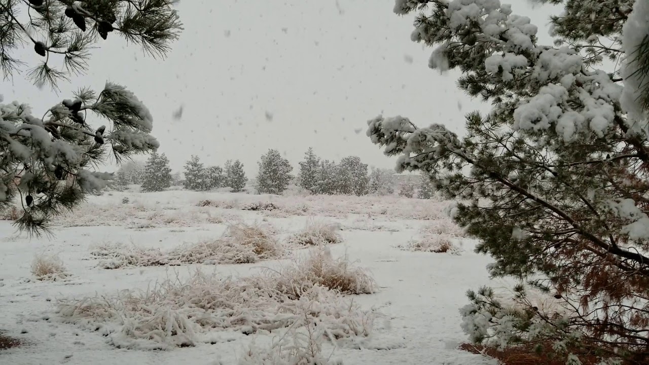 Snowfall On Silverstone Golf Course Part 2 | Las Vegas, Nevada - YouTube